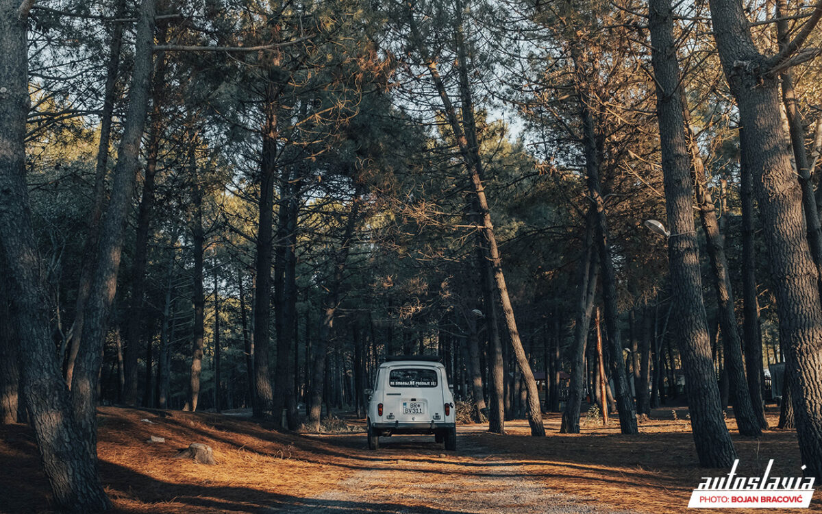 Divlja bela koza - Autoslavia